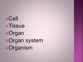 The organization of living things | PPTX