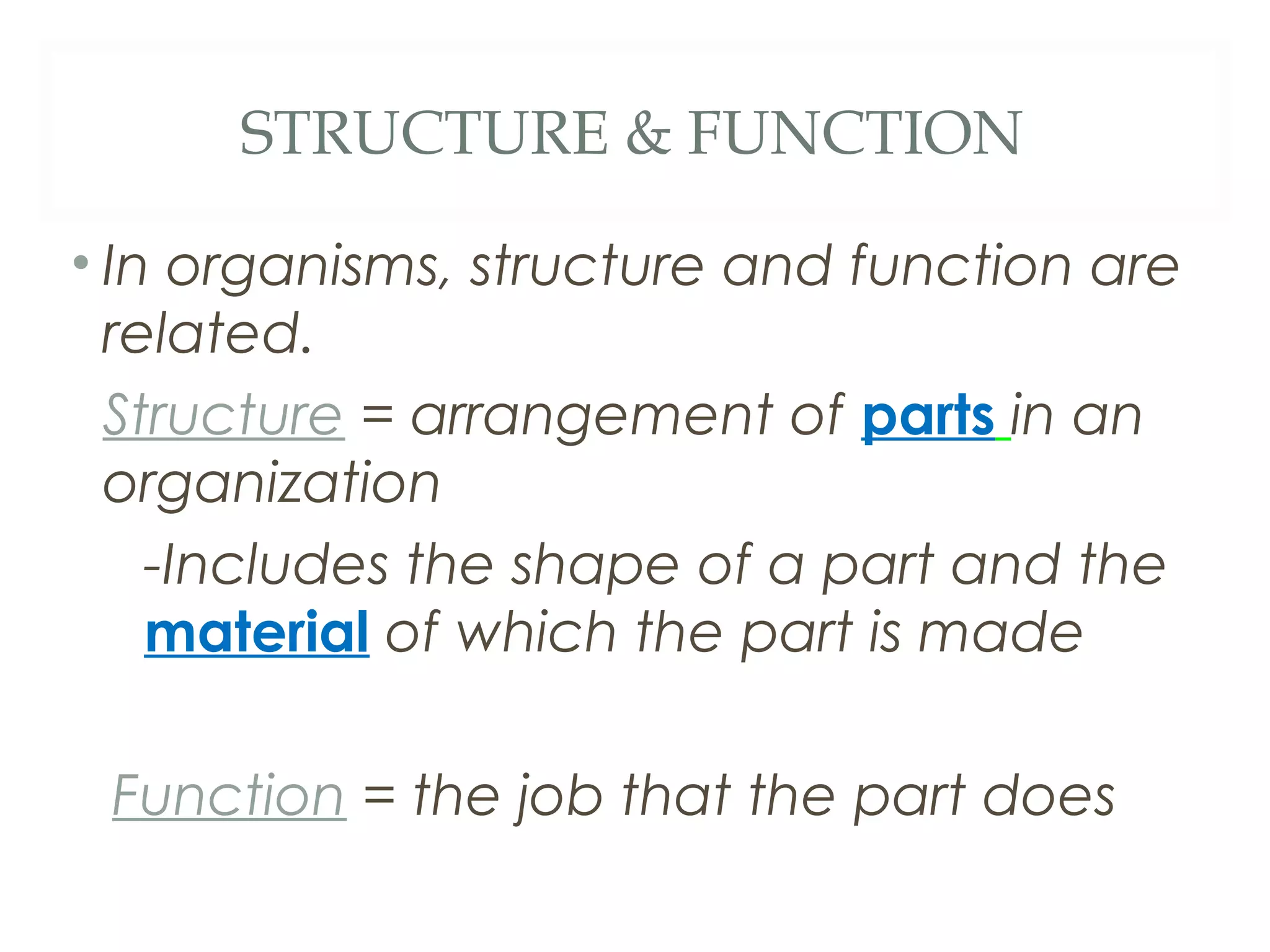 The organization of living things | PPT