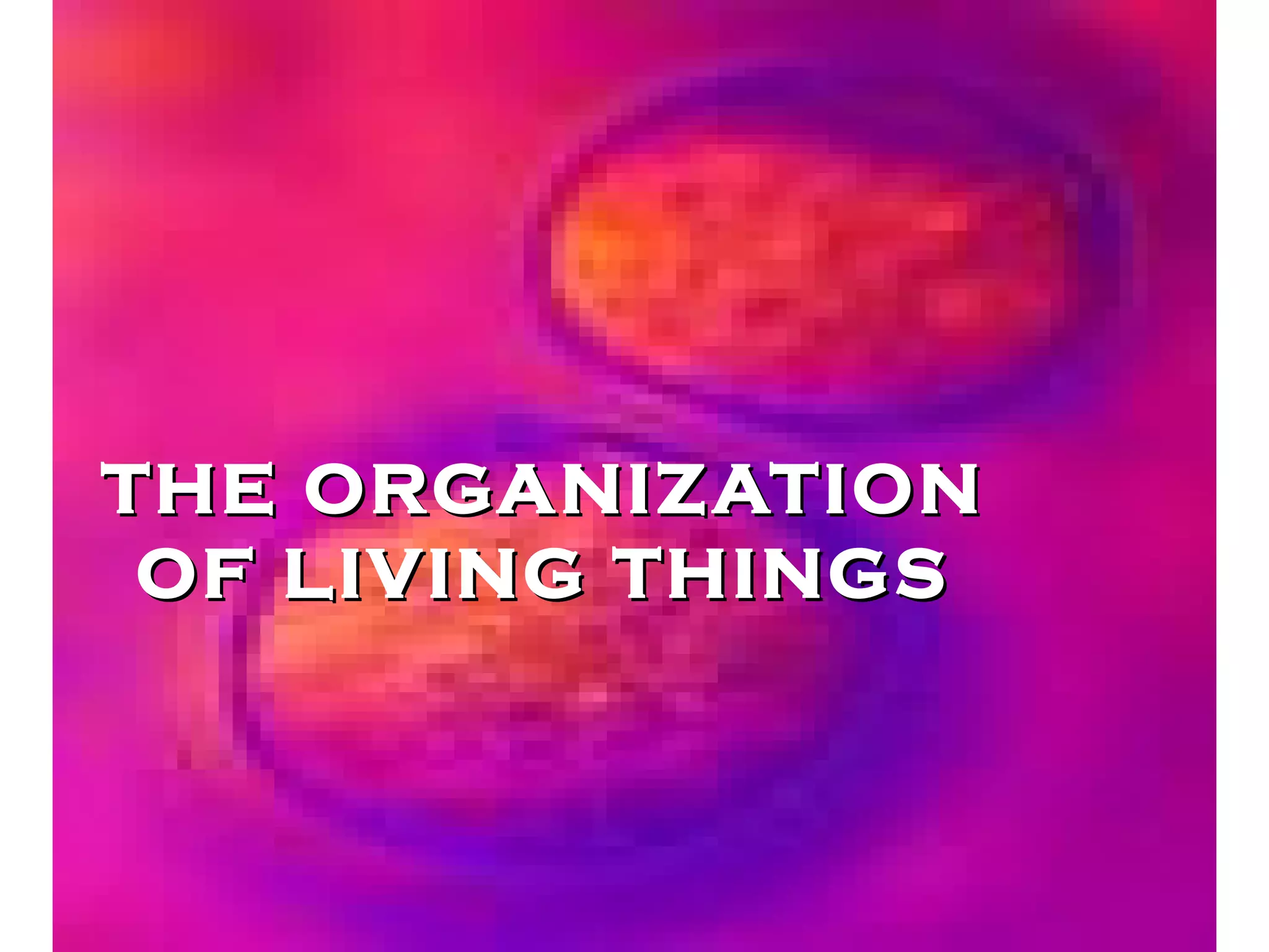 Organization of Living Things Notes | PPT