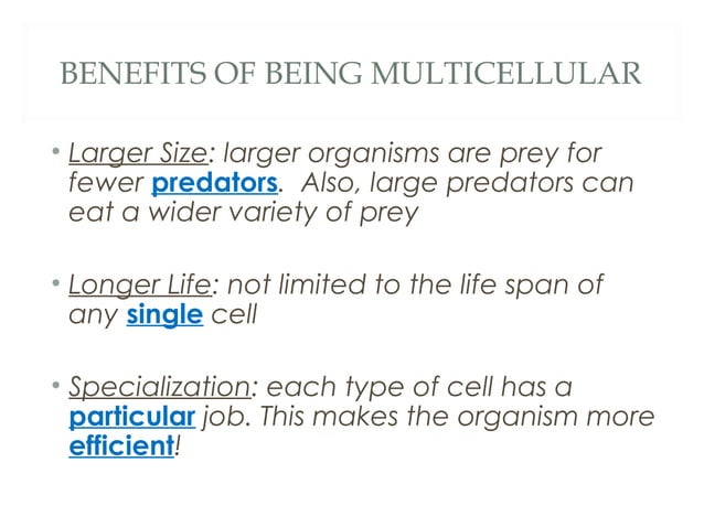 Organization of Living Things Notes | PPT