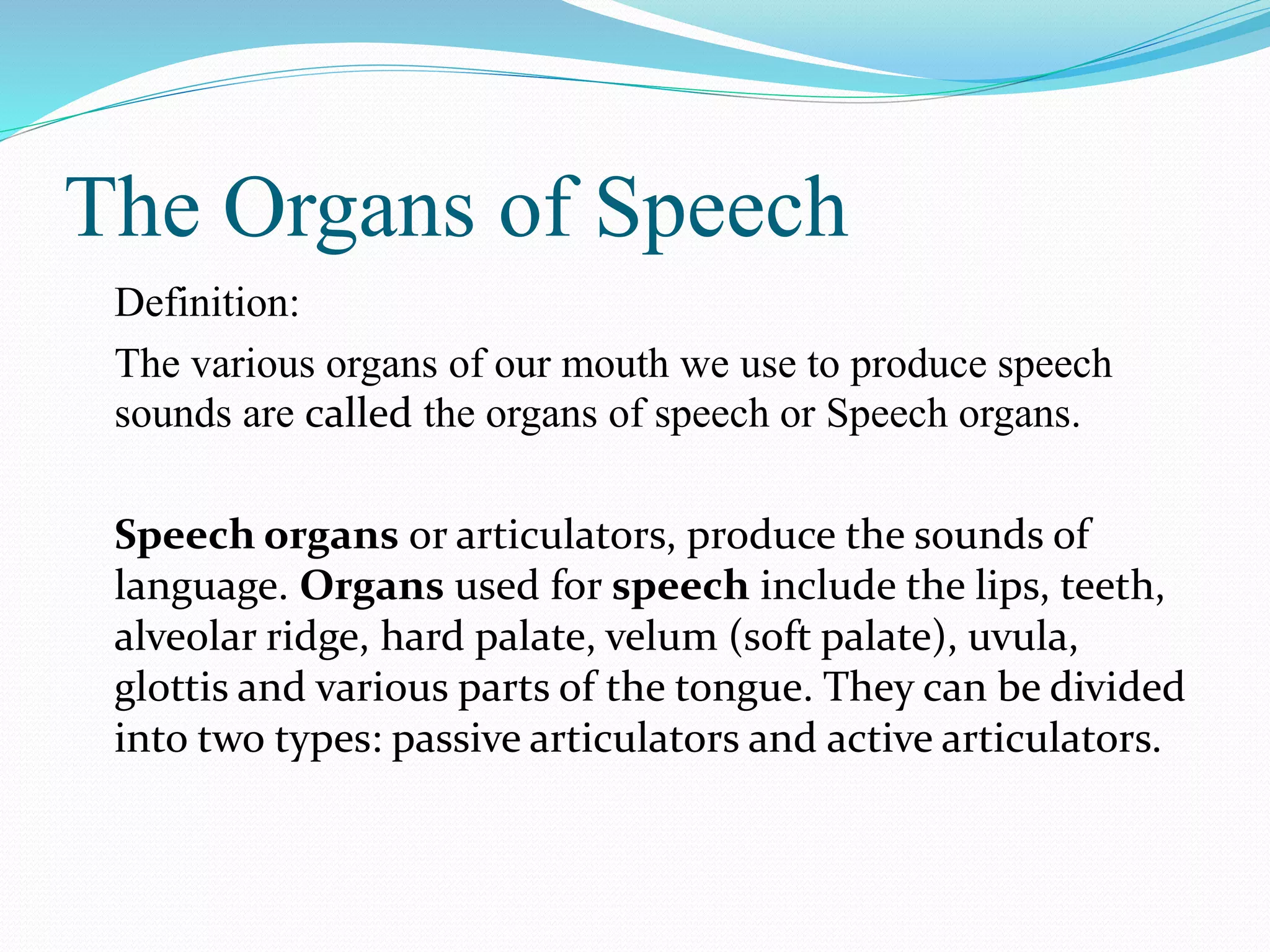 The Organs Of Speech PPT