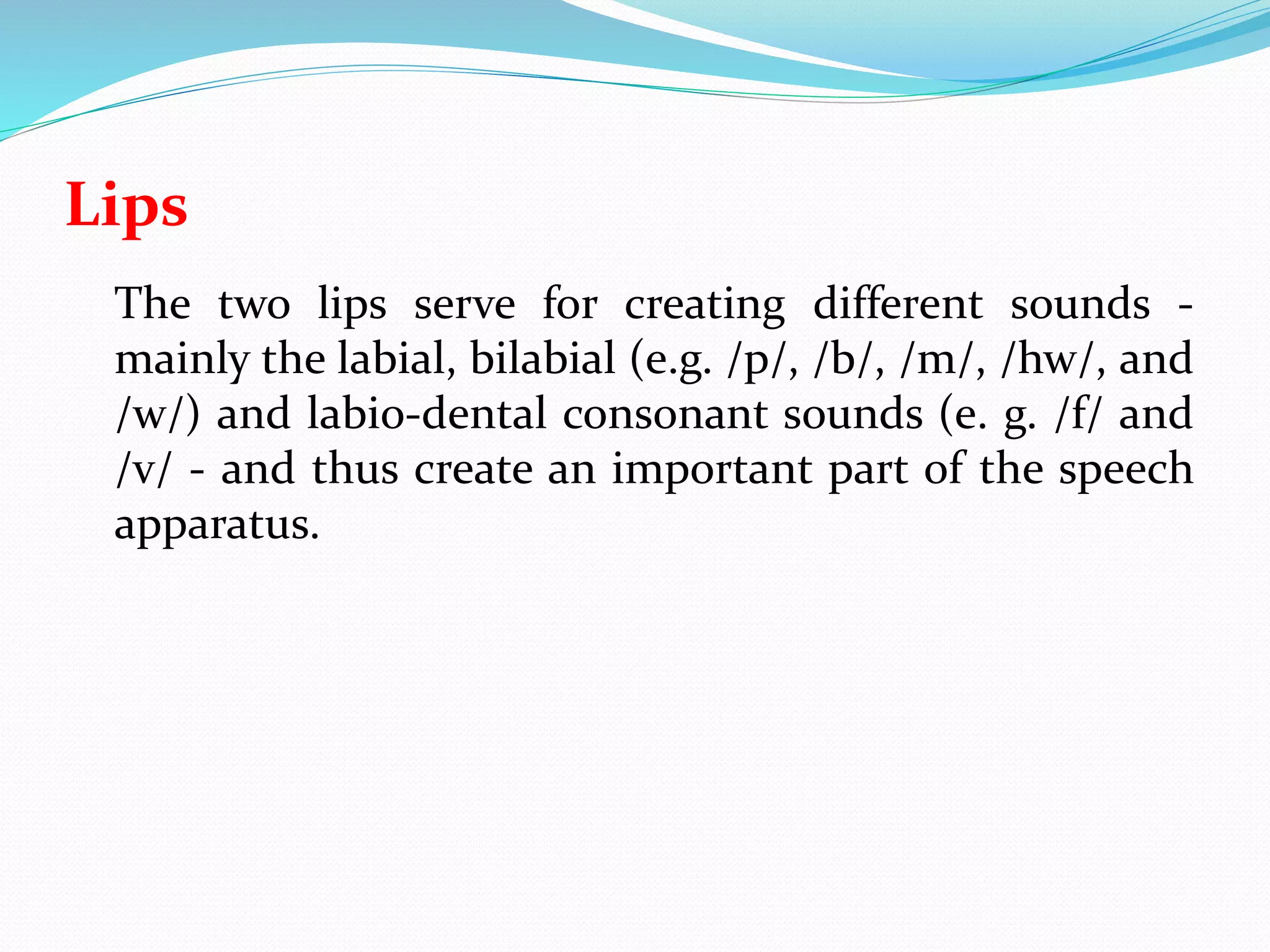 The organs of speech | PPTX