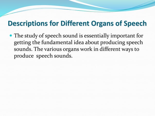 The organs of speech | PPTX