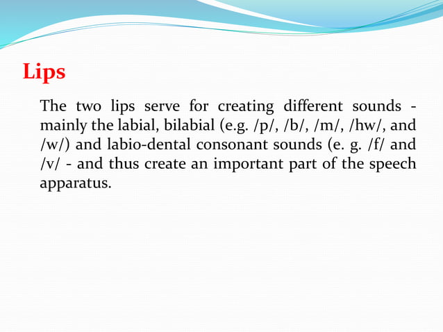 The organs of speech | PPTX