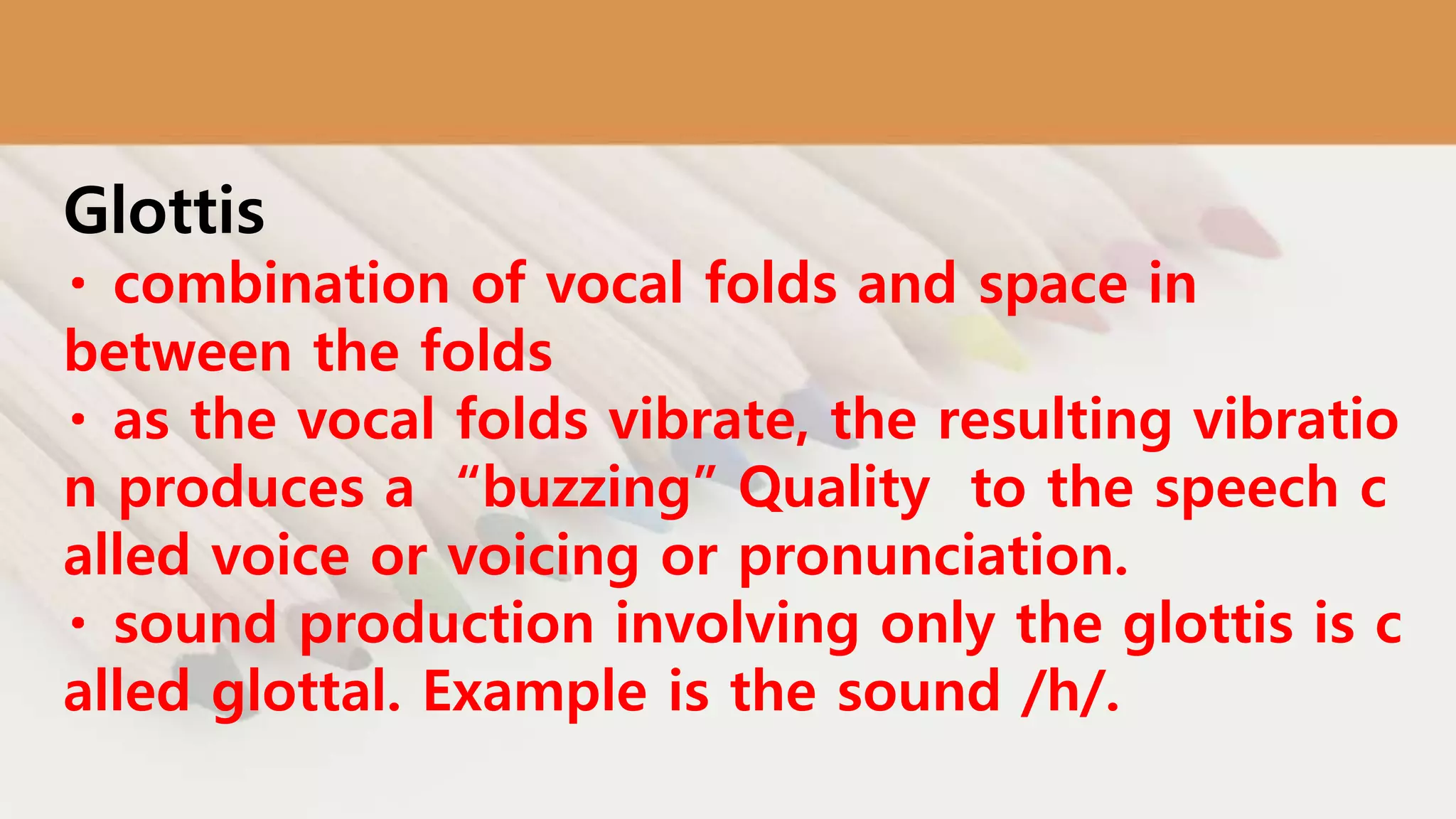The organs of speech | PPTX