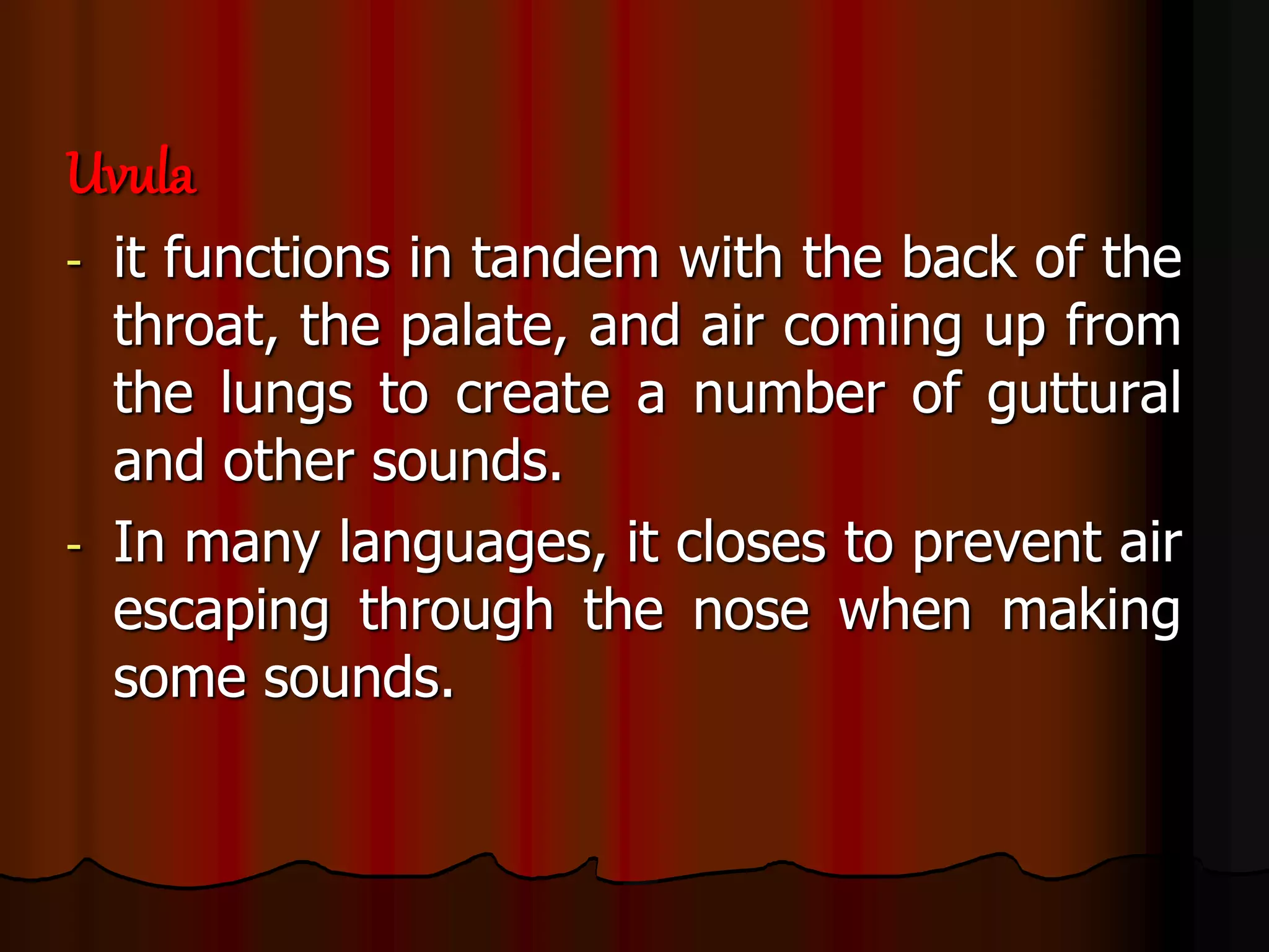 theorgansofspeechandtheirfunction-120523034352-phpapp01.ppt
