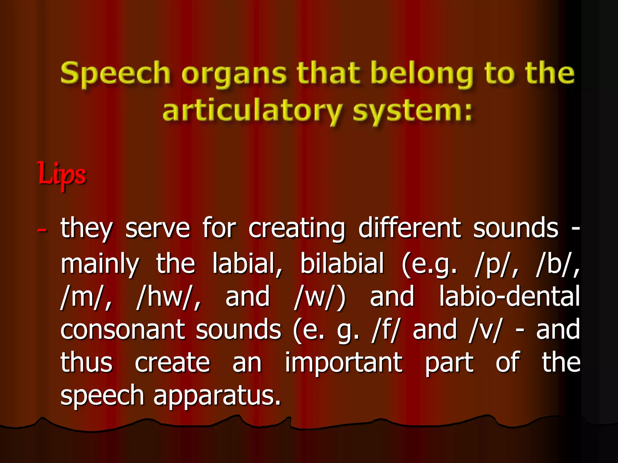 theorgansofspeechandtheirfunction-120523034352-phpapp01.ppt