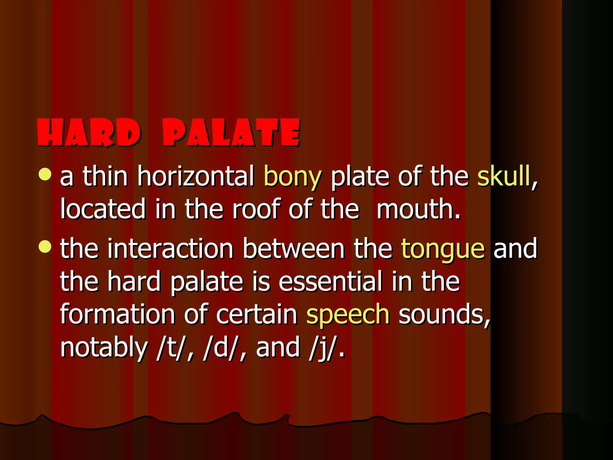 The organs of speech and their function | PPT