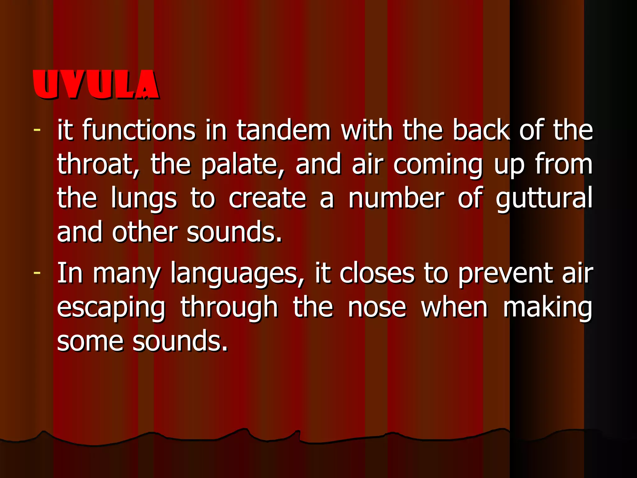 The organs of speech and their function | PPT
