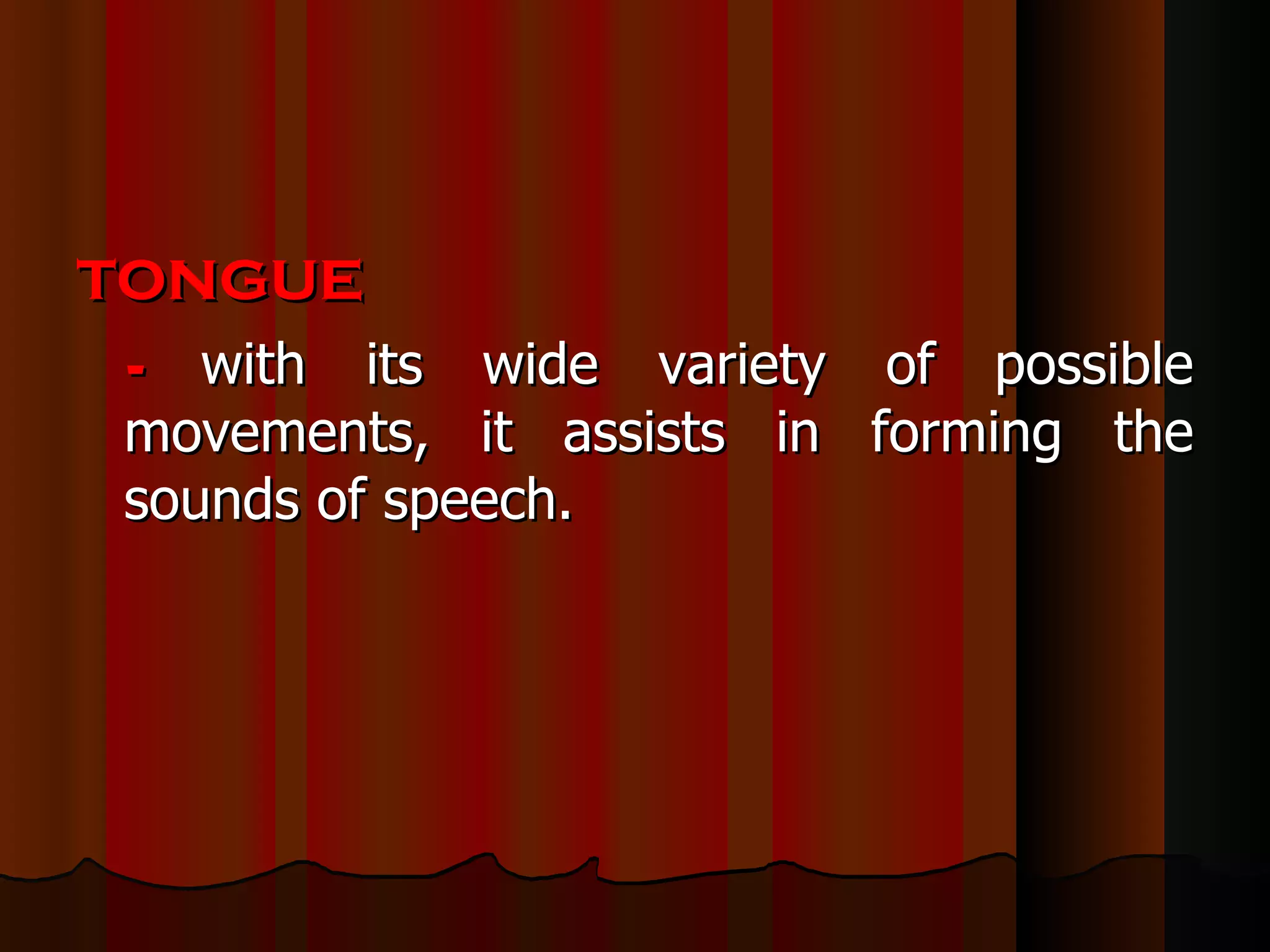 The organs of speech and their function | PPT