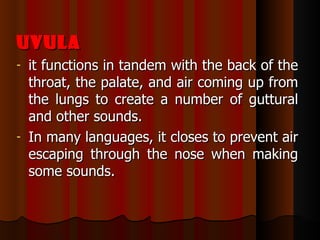 The organs of speech and their function | PPT