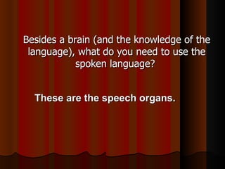 The organs of speech and their function | PPT