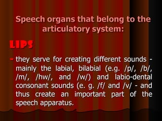 The organs of speech and their function | PPT