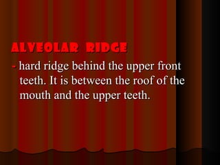 The organs of speech and their function | PPT