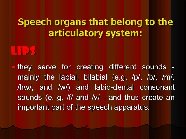 What Are Speech Organs With Pictures