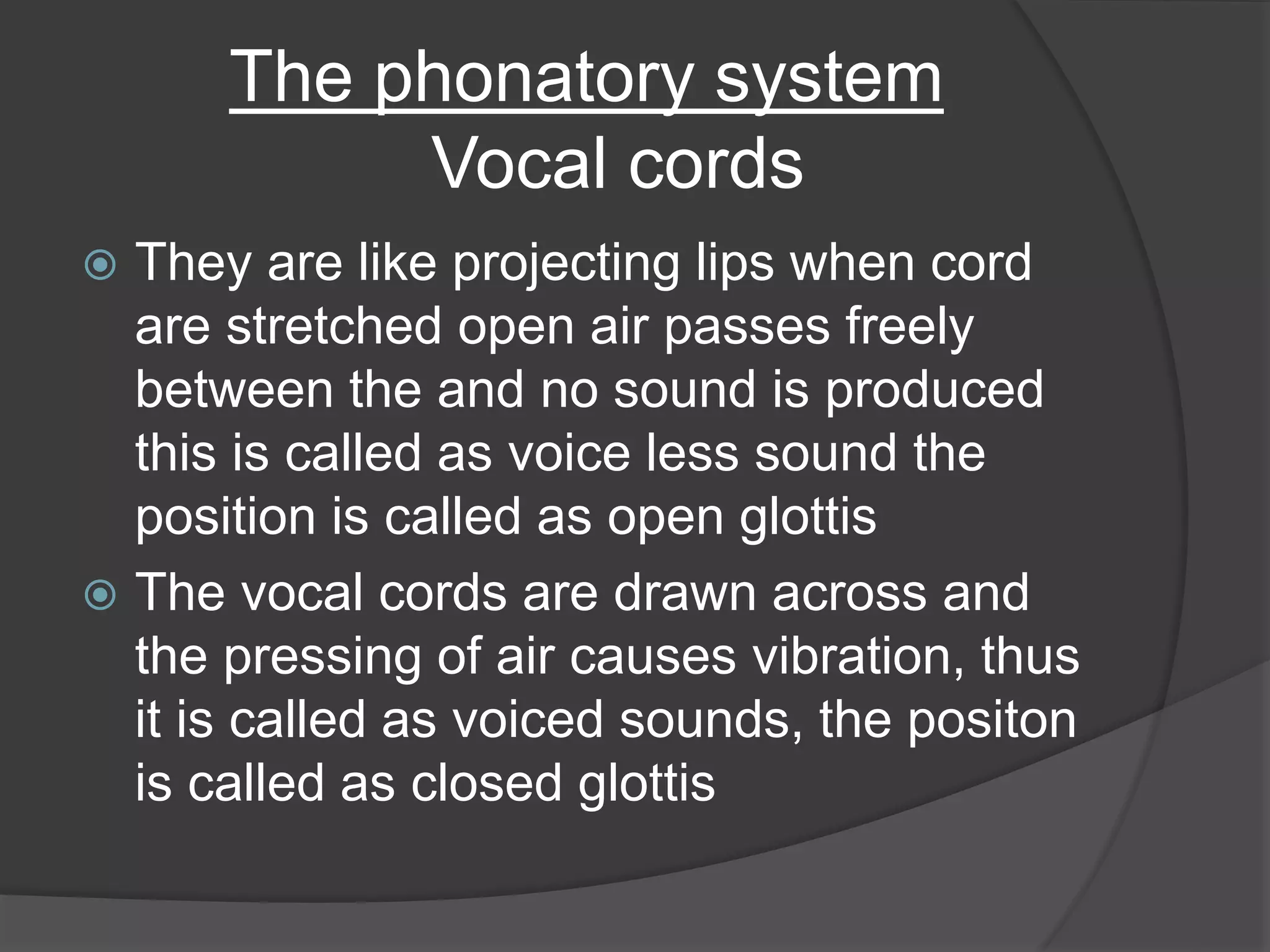 The organs of speech | PPTX