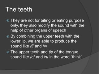 The organs of speech | PPTX
