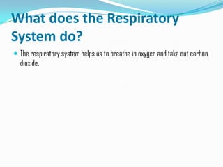 Science For Grade 5 The Organ Systems | PPTX