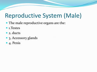 Science For Grade 5 The Organ Systems | PPTX