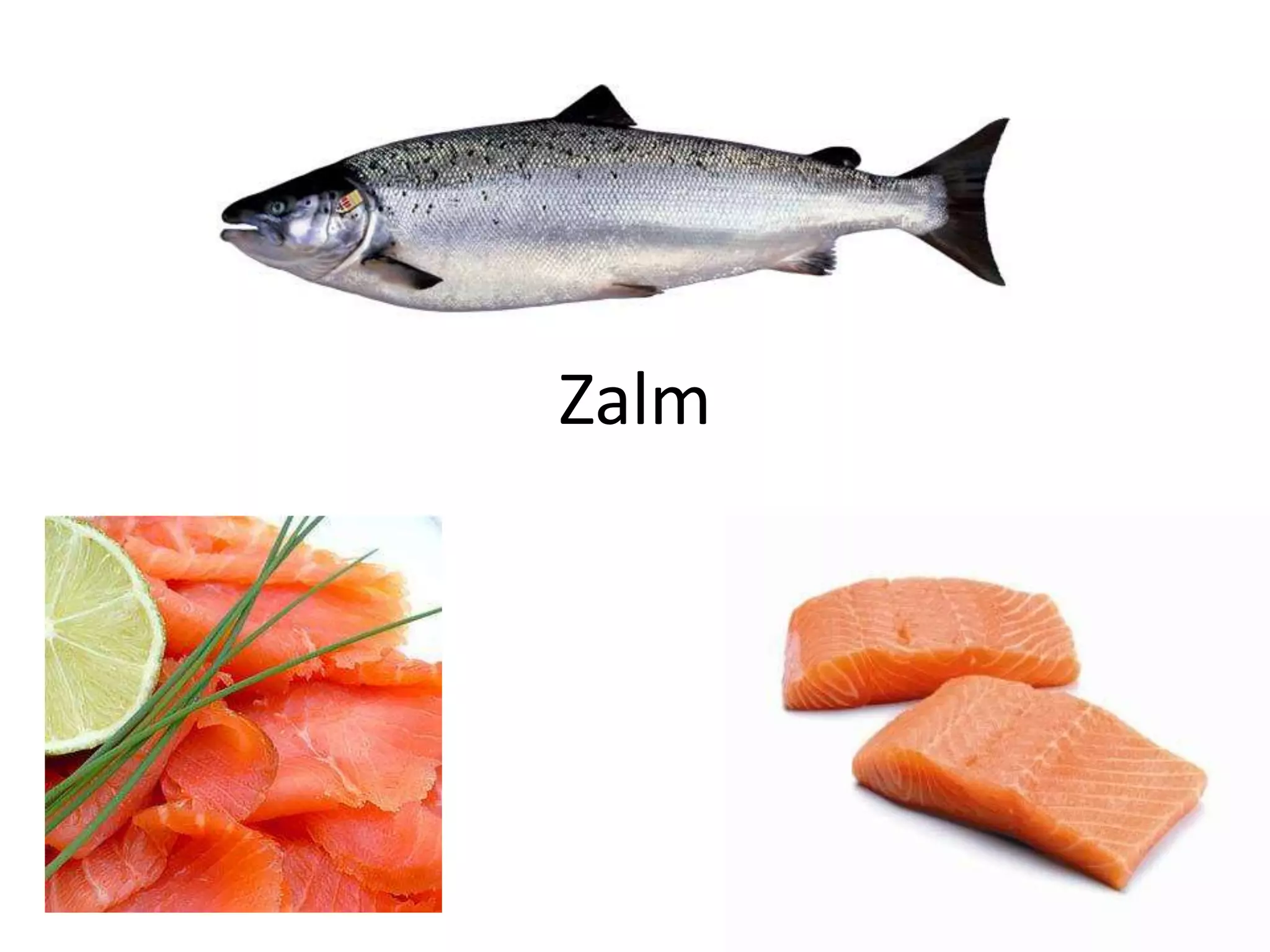 Theorie les 4 presentatie zalm | PPTX