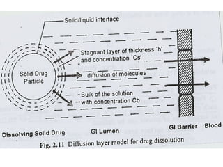 Theories of dissolution | PPT