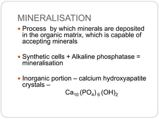 Theories of Mineralisation | PPTX
