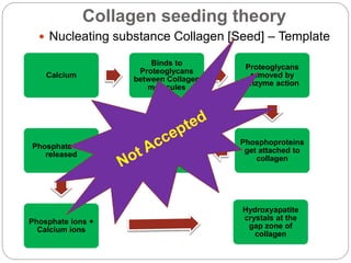 Theories of Mineralisation | PPTX