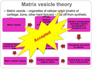 Theories of Mineralisation | PPTX