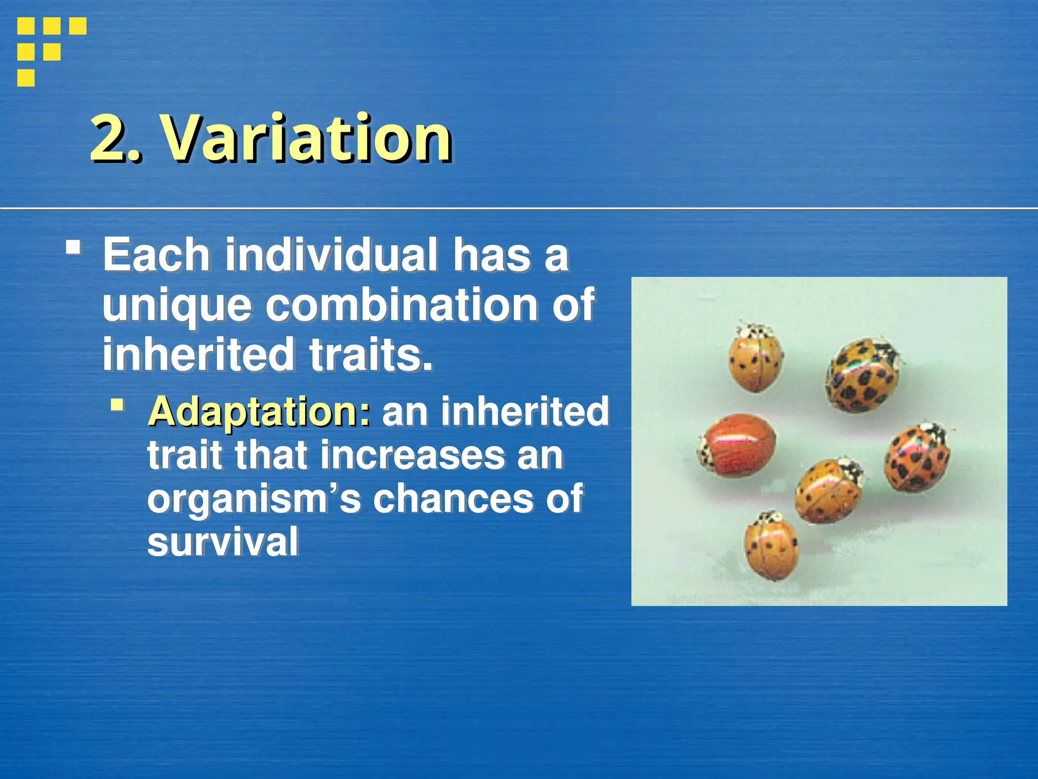 SCIENCE 10 - THEORIES of EVEOLUTION_powerpoint | PPT