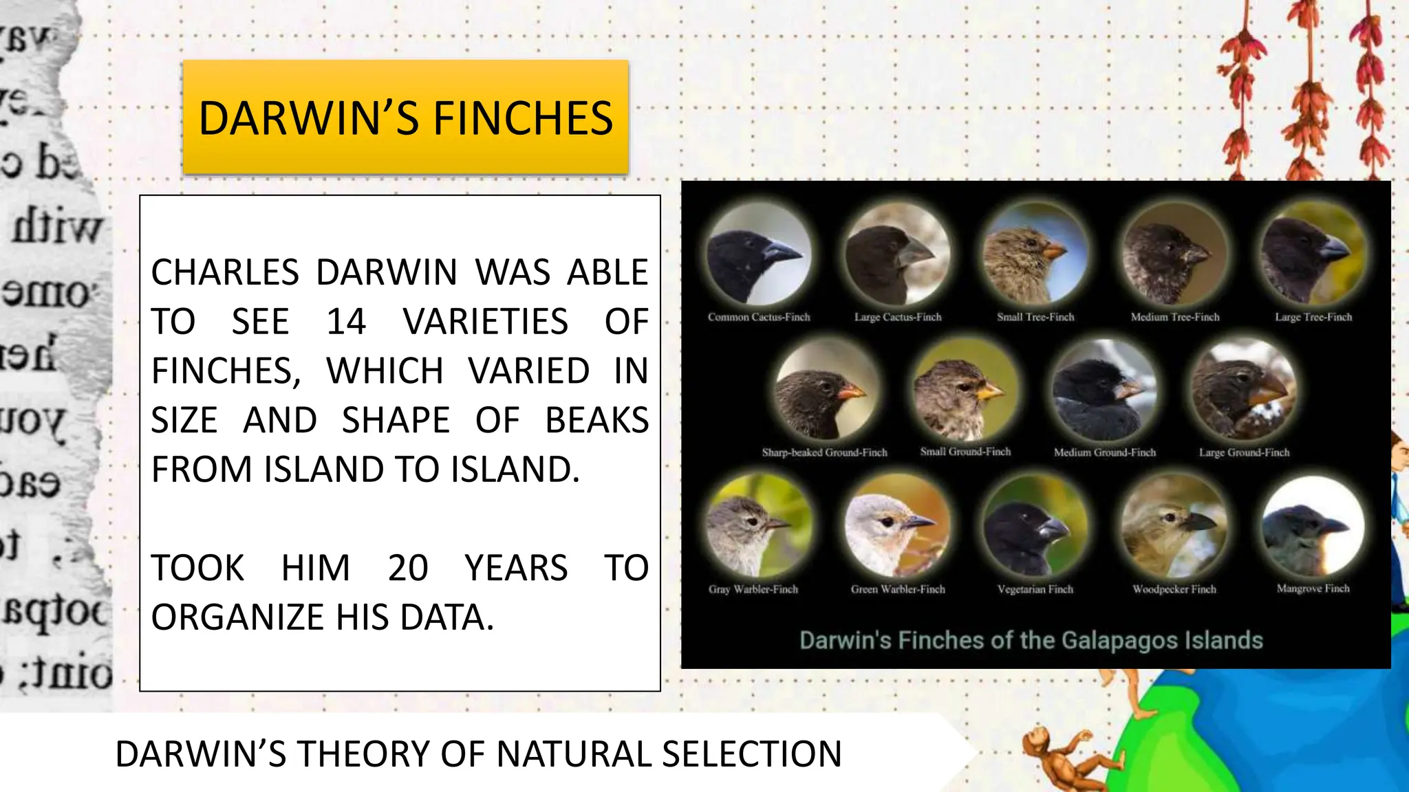 THEORIES-OF-EVOLUTION-LAMARICK-VS-DARVIN.pptx