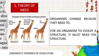 THEORIES-OF-EVOLUTION-LAMARICK-VS-DARVIN.pptx