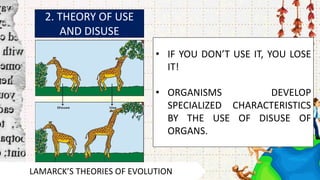 THEORIES-OF-EVOLUTION-LAMARICK-VS-DARVIN.pptx