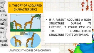 THEORIES-OF-EVOLUTION-LAMARICK-VS-DARVIN.pptx