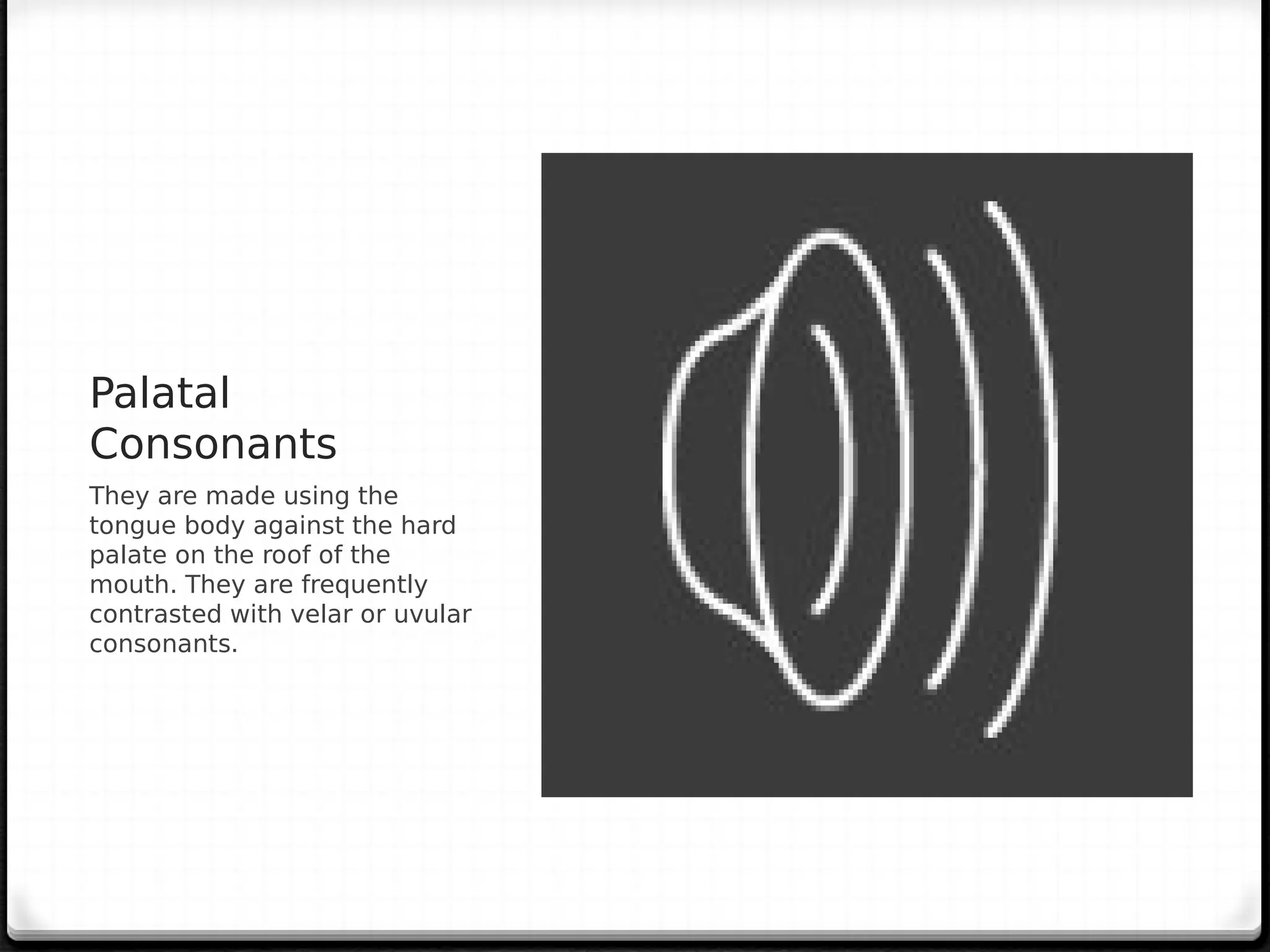Phonetics, Phonology, Semantics, and Lexicon | PDF