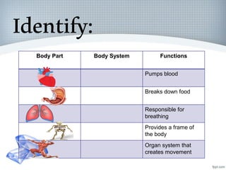 Systems Theory and X & Y Theory | PDF