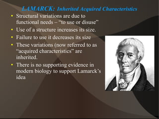 Theories And Evidence | PPT