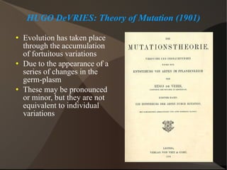 Theories And Evidence | PPT