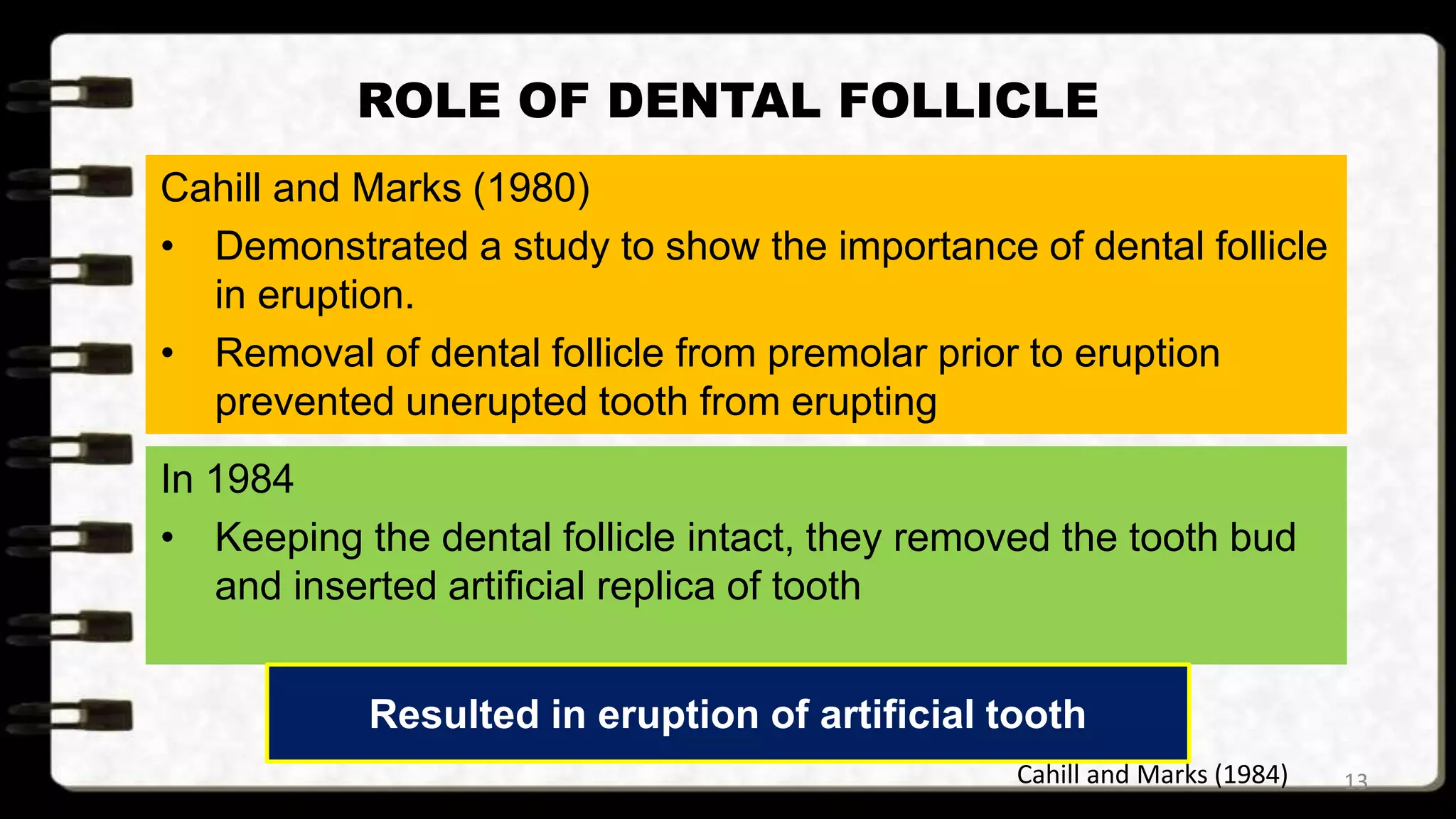 Theories and mechanism of eruption of primary and | PPTX