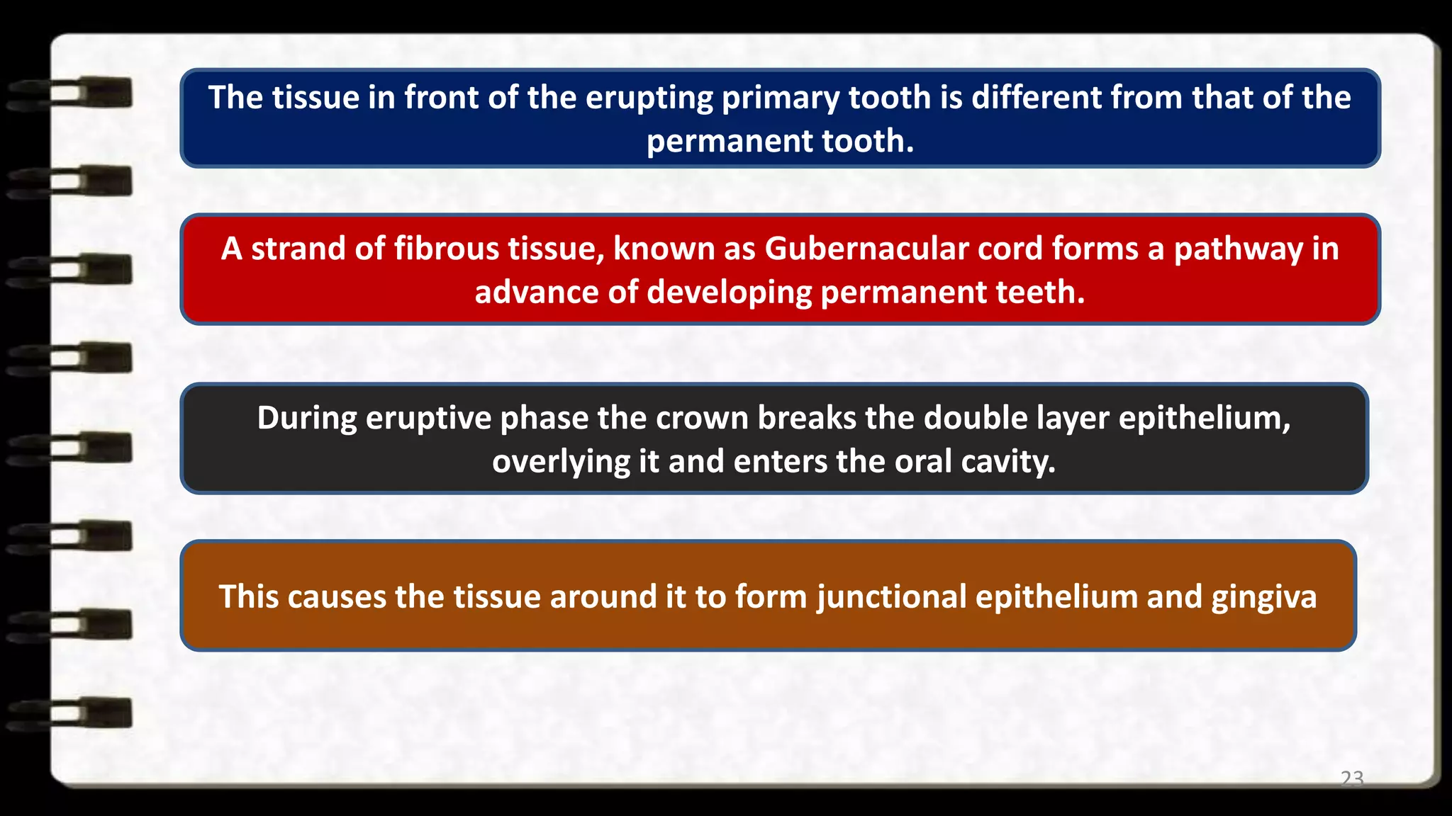 Theories and mechanism of eruption of primary and | PPTX