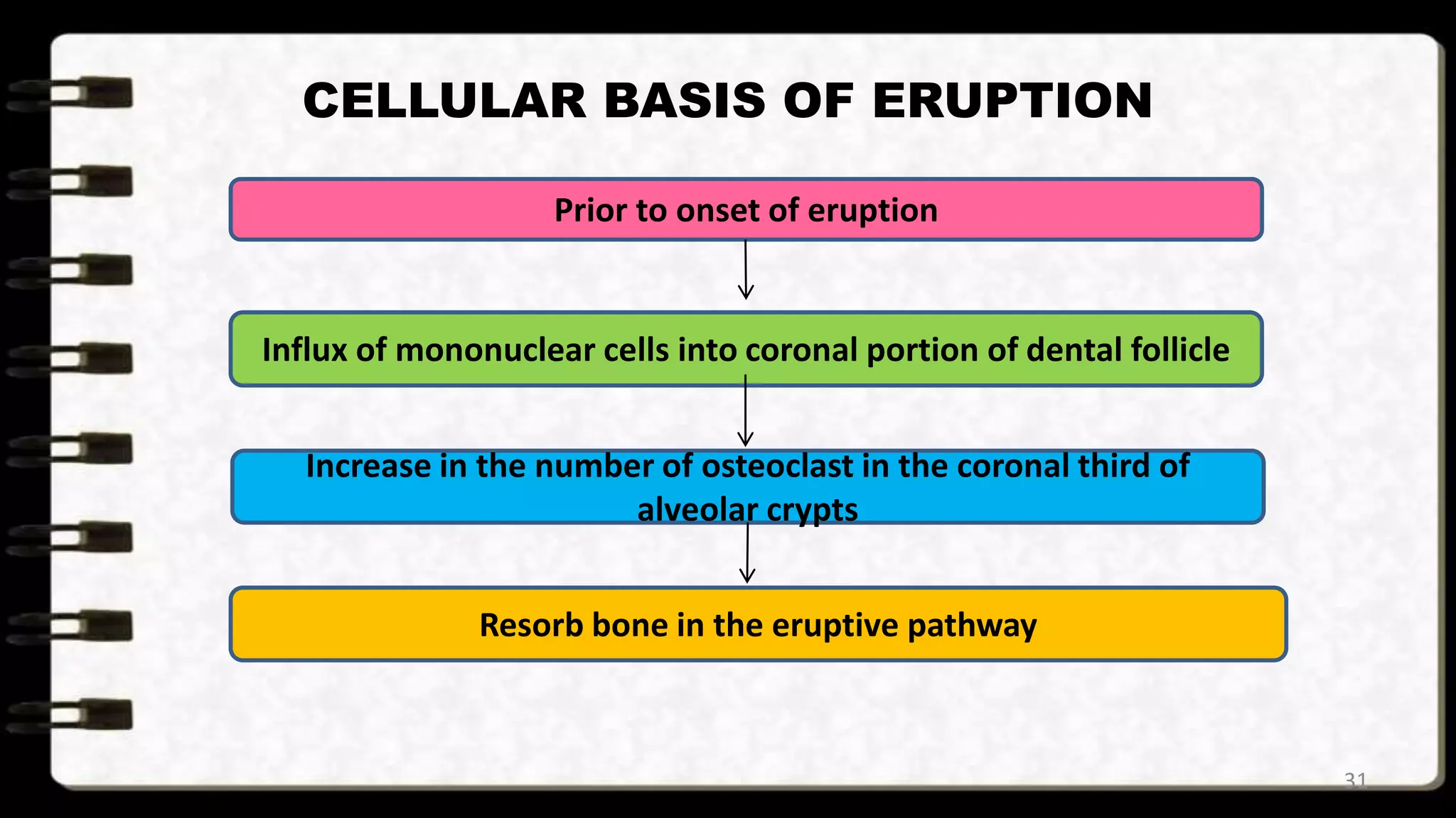 Theories and mechanism of eruption of primary and | PPTX
