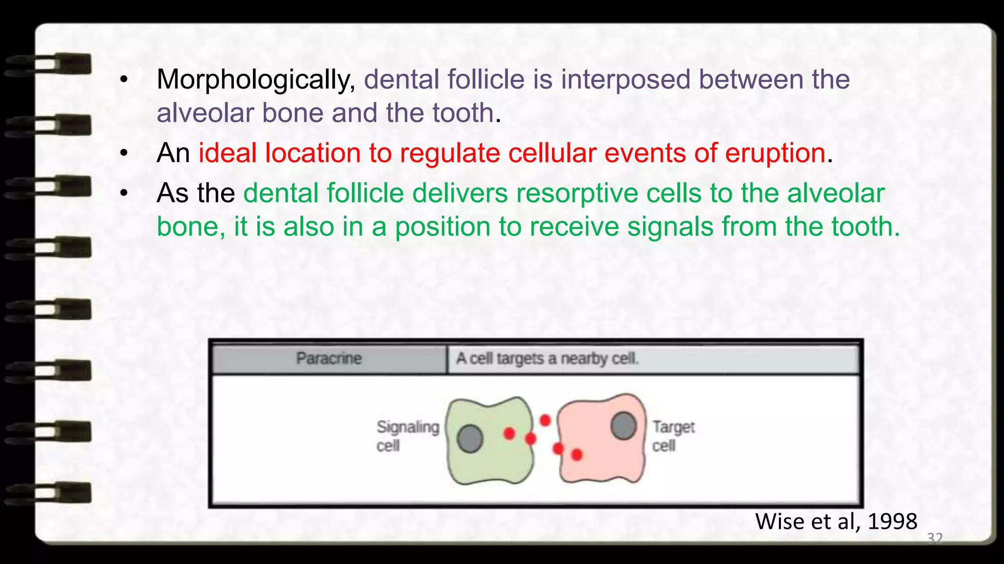 Theories and mechanism of eruption of primary and | PPTX
