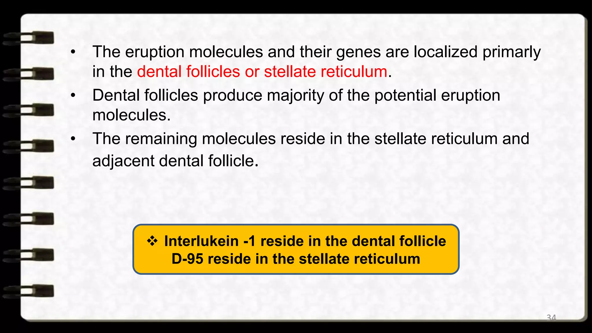 Theories and mechanism of eruption of primary and | PPTX