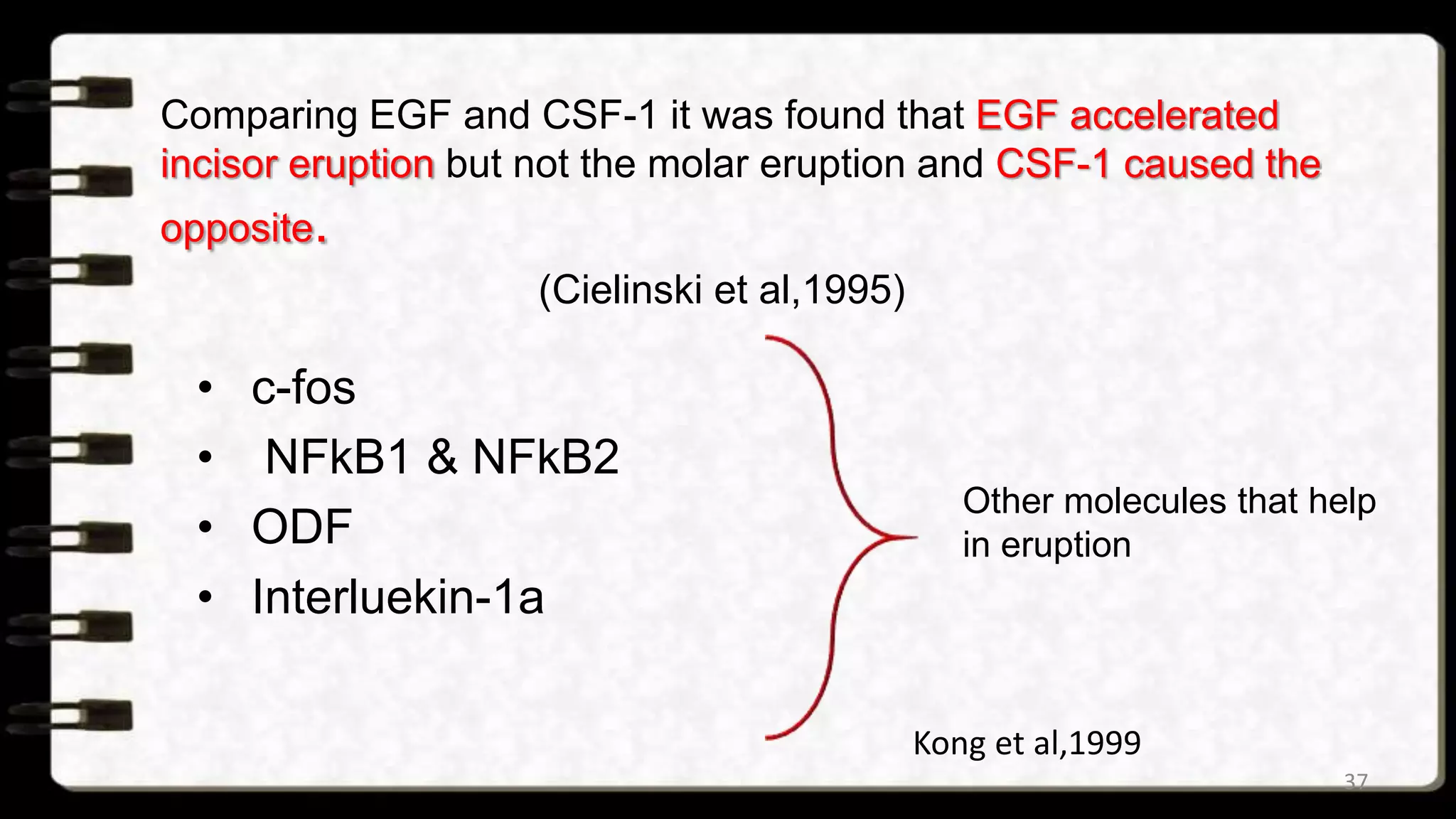 Theories and mechanism of eruption of primary and | PPTX