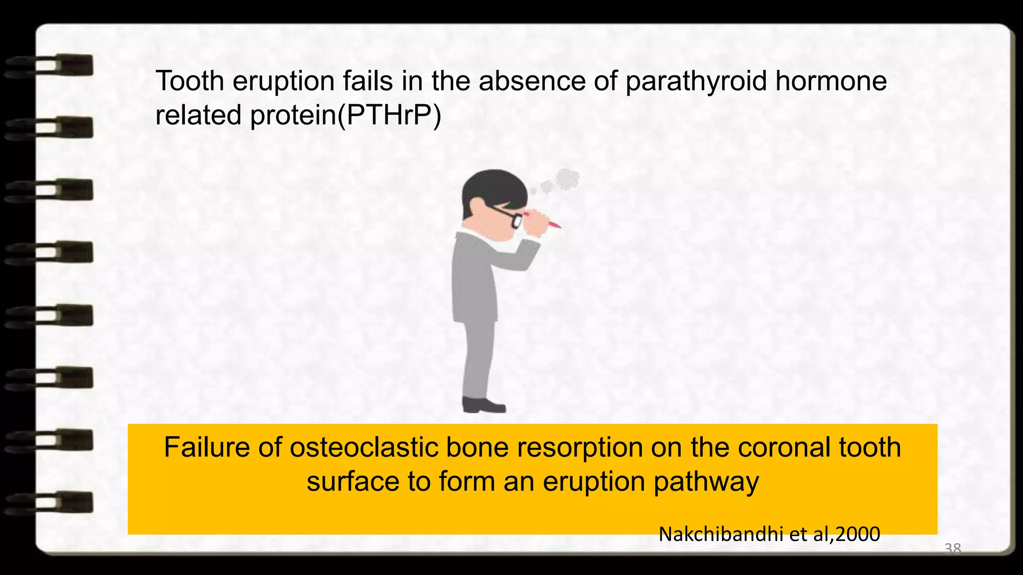 Theories and mechanism of eruption of primary and | PPTX