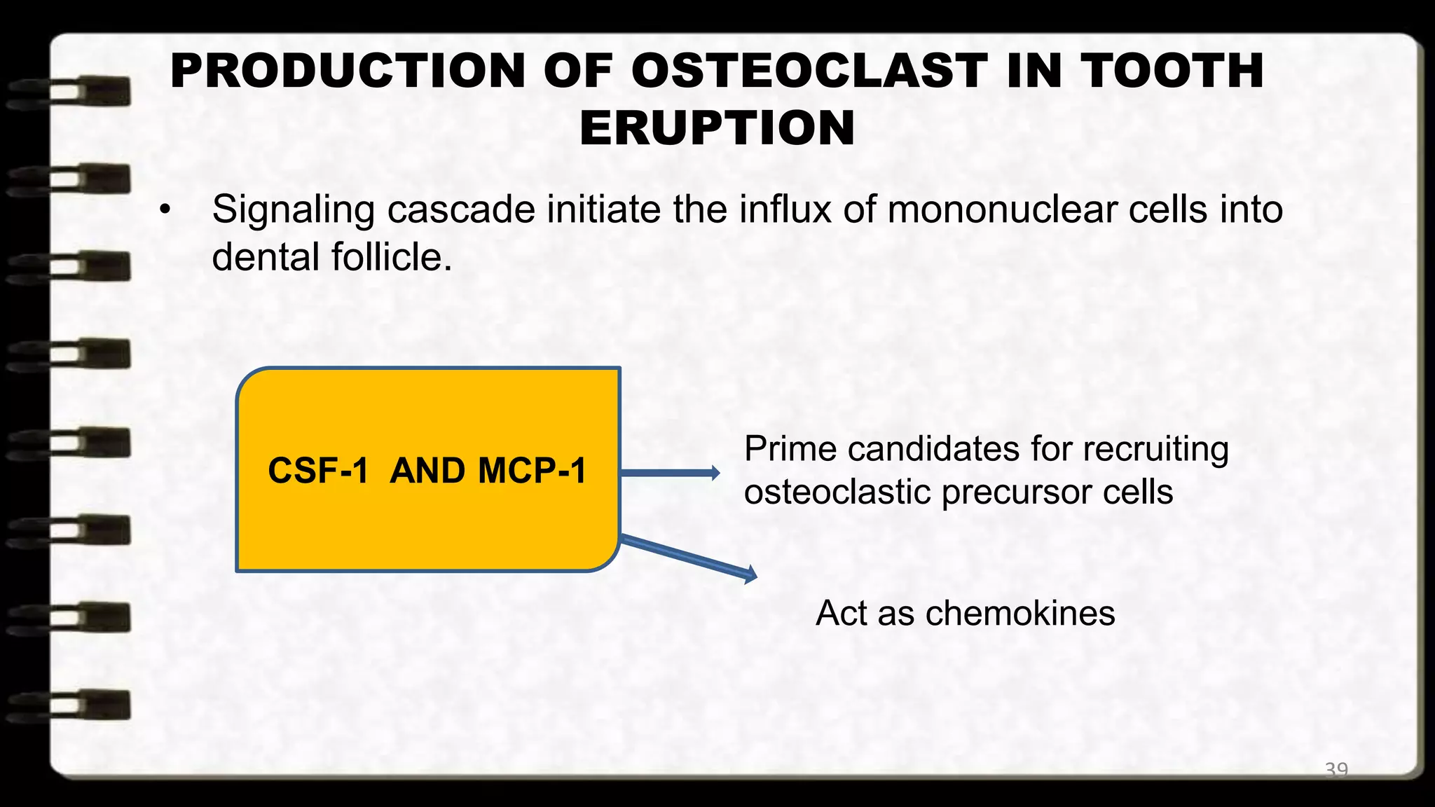 Theories and mechanism of eruption of primary and | PPTX