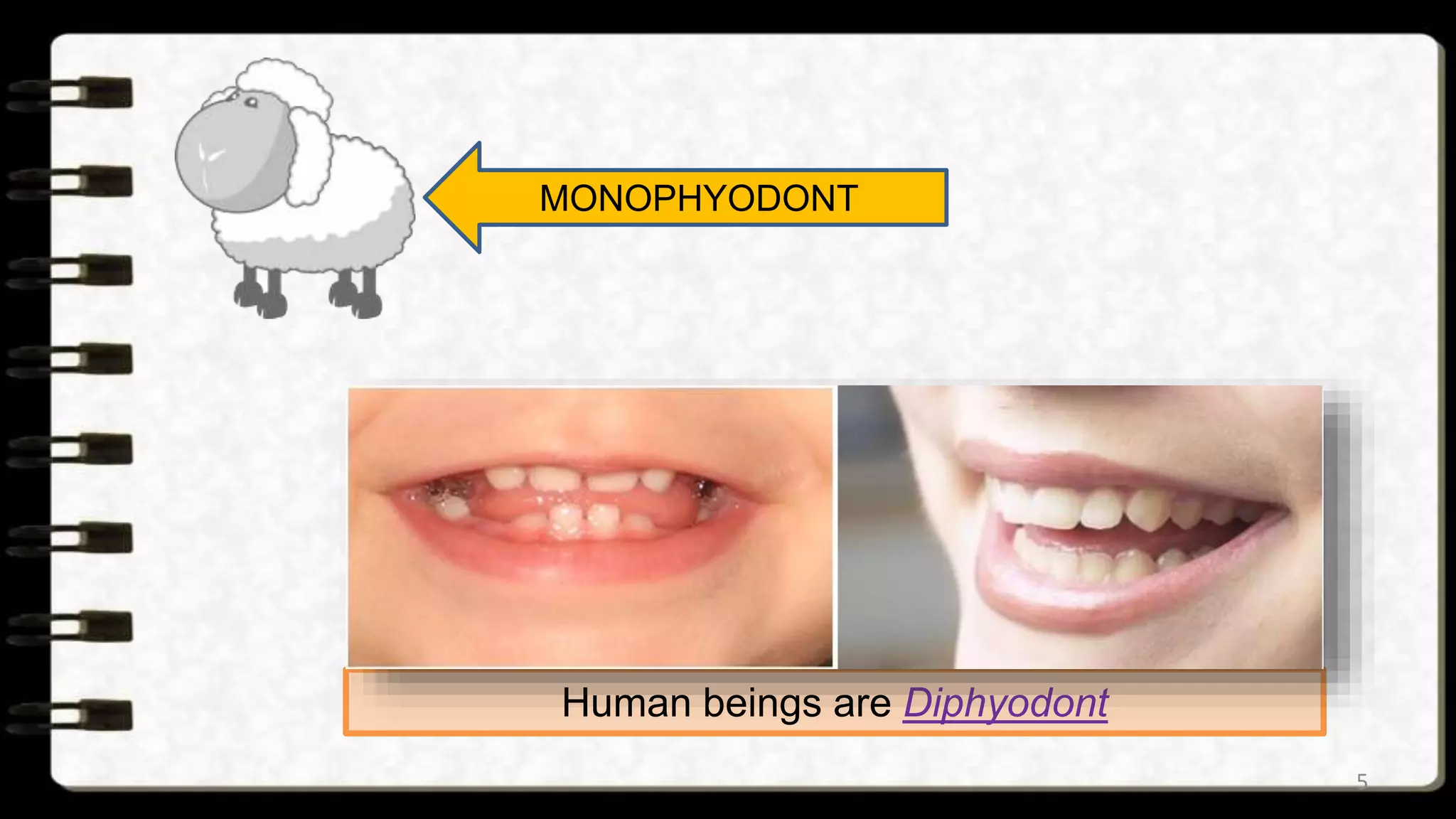 Theories and mechanism of eruption of primary and | PPTX
