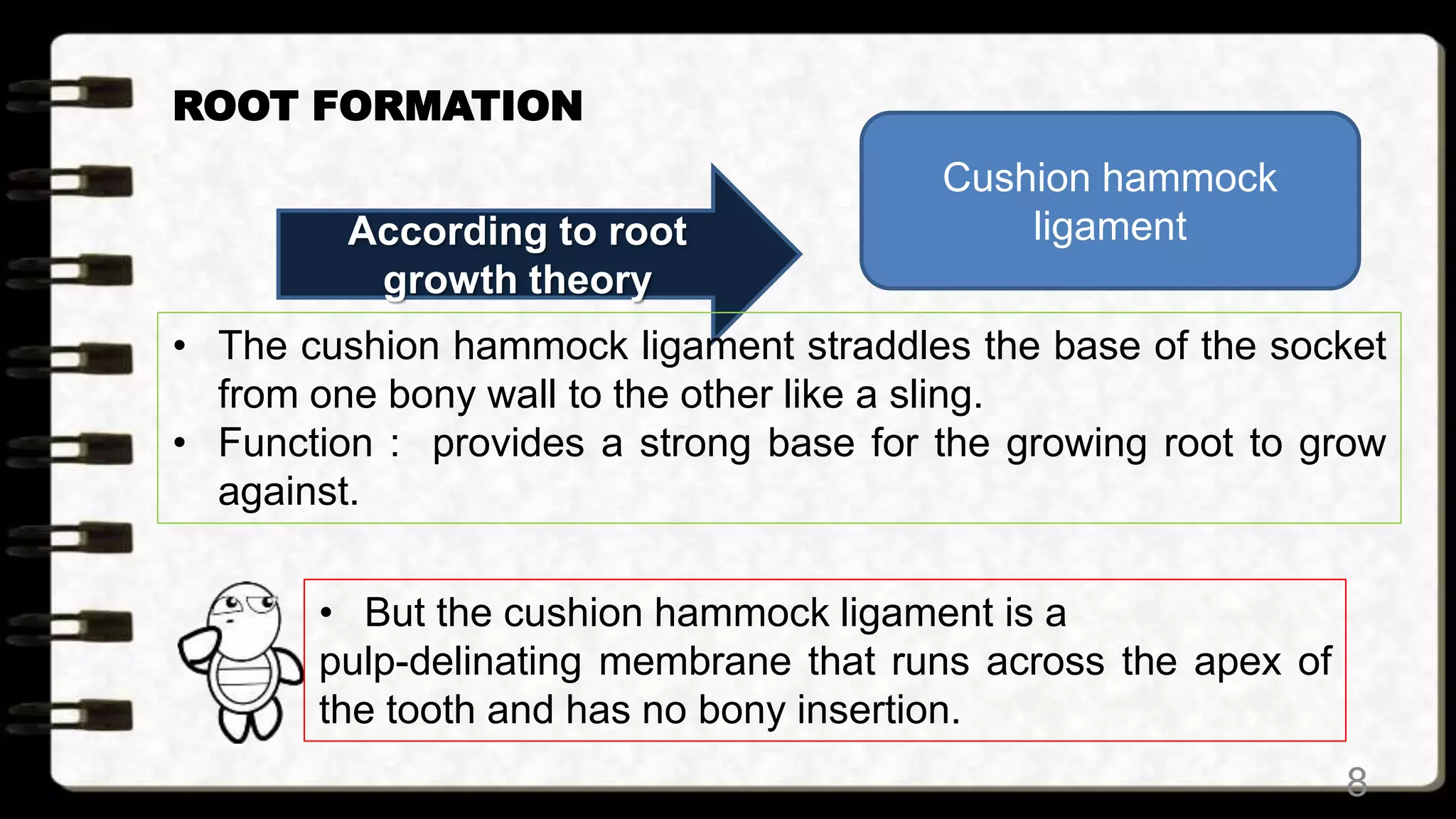 Theories and mechanism of eruption of primary and | PPTX