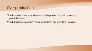 THEORIES AND MECHANISMS OF EVOLUTION.pptx