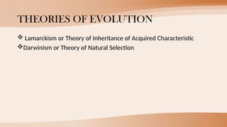 THEORIES AND MECHANISMS OF EVOLUTION.pptx