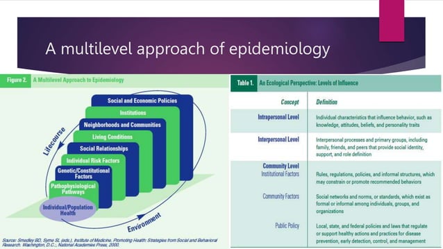 Theories in Health promotion public health.pptx
